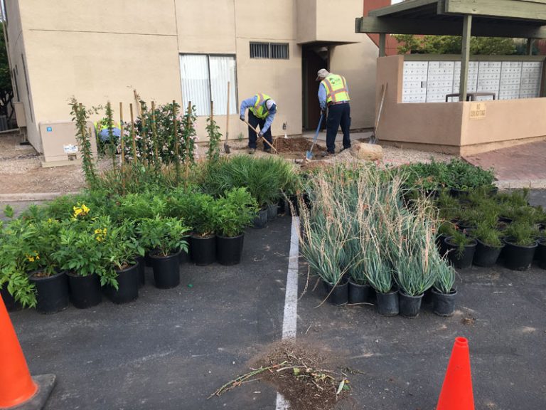 Misc Projects - Service Direct Landscape