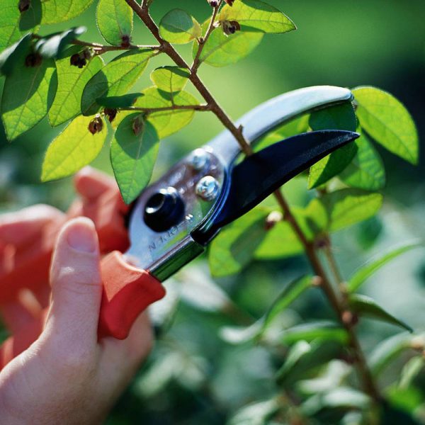 Service Direct Landscape